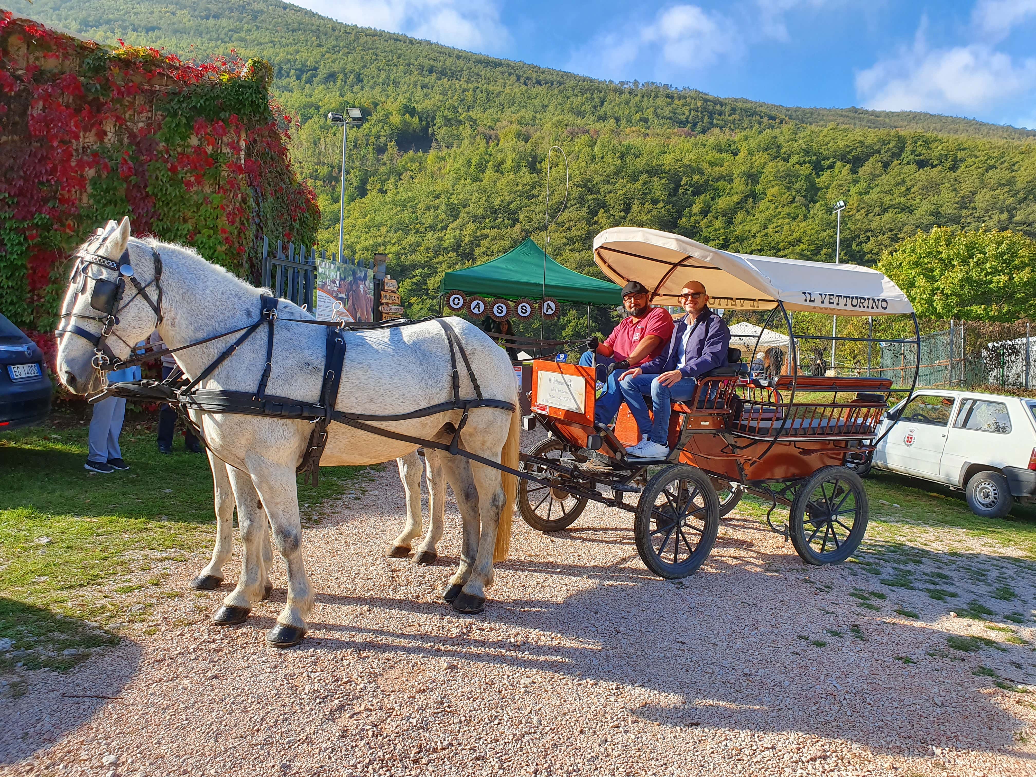 Clipart Giro In Carrozza