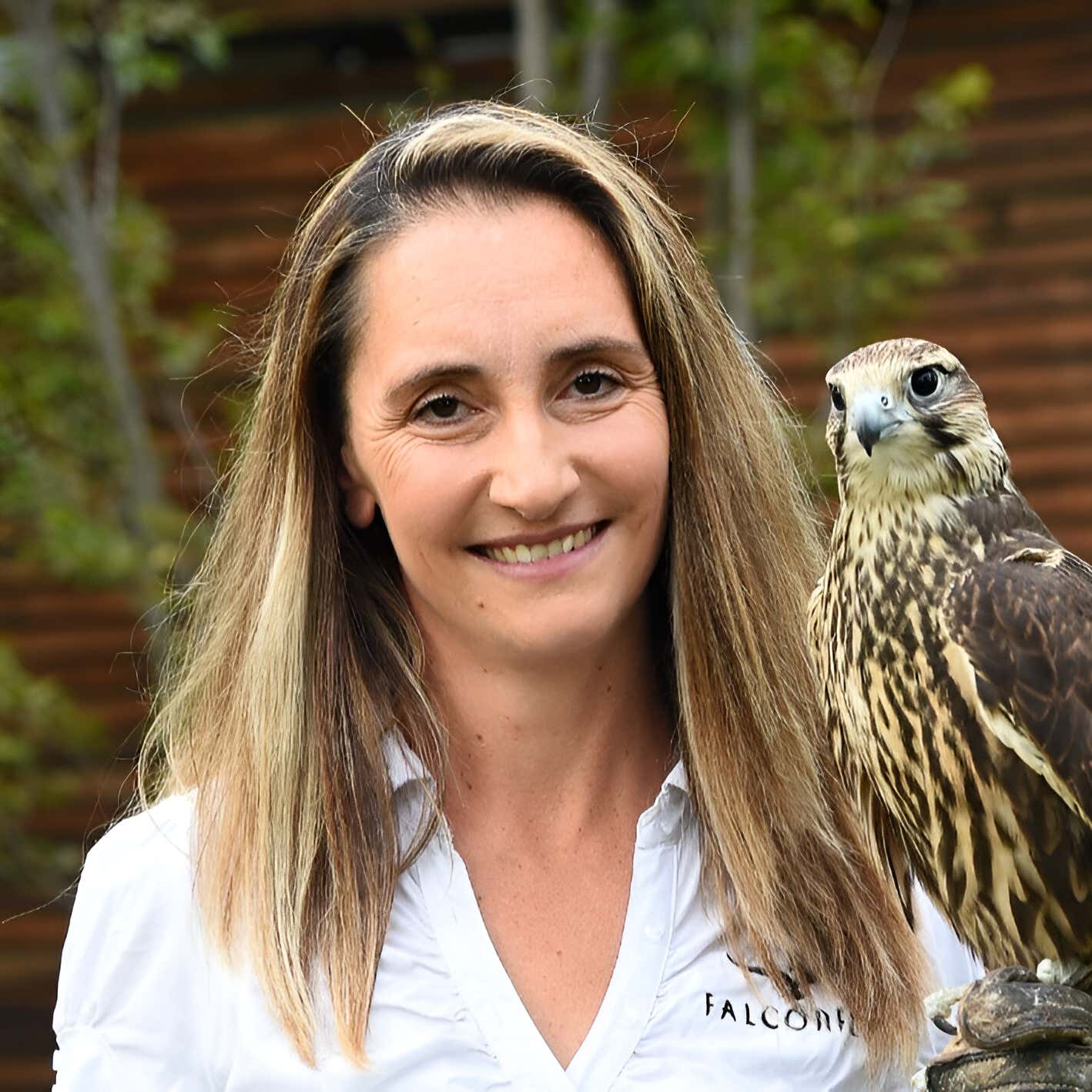 Falconiere per un giorno in Brianza | Freedome