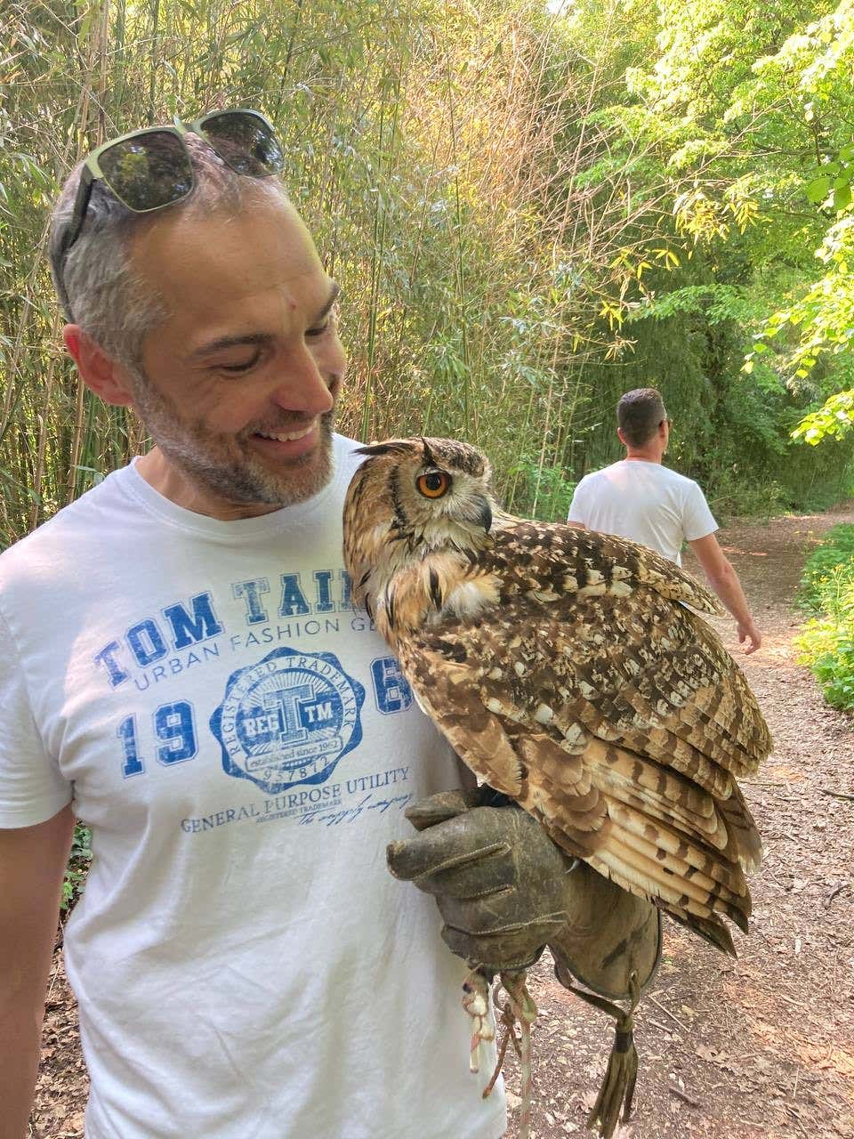 Falconeria Veneto Italy