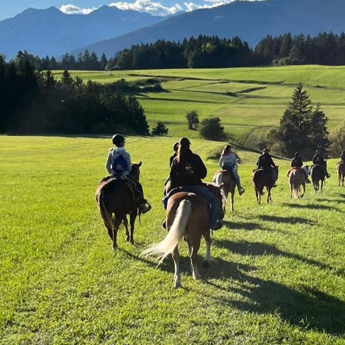 Passeggiata a cavallo a Cavareno in Val di Non | Freedome