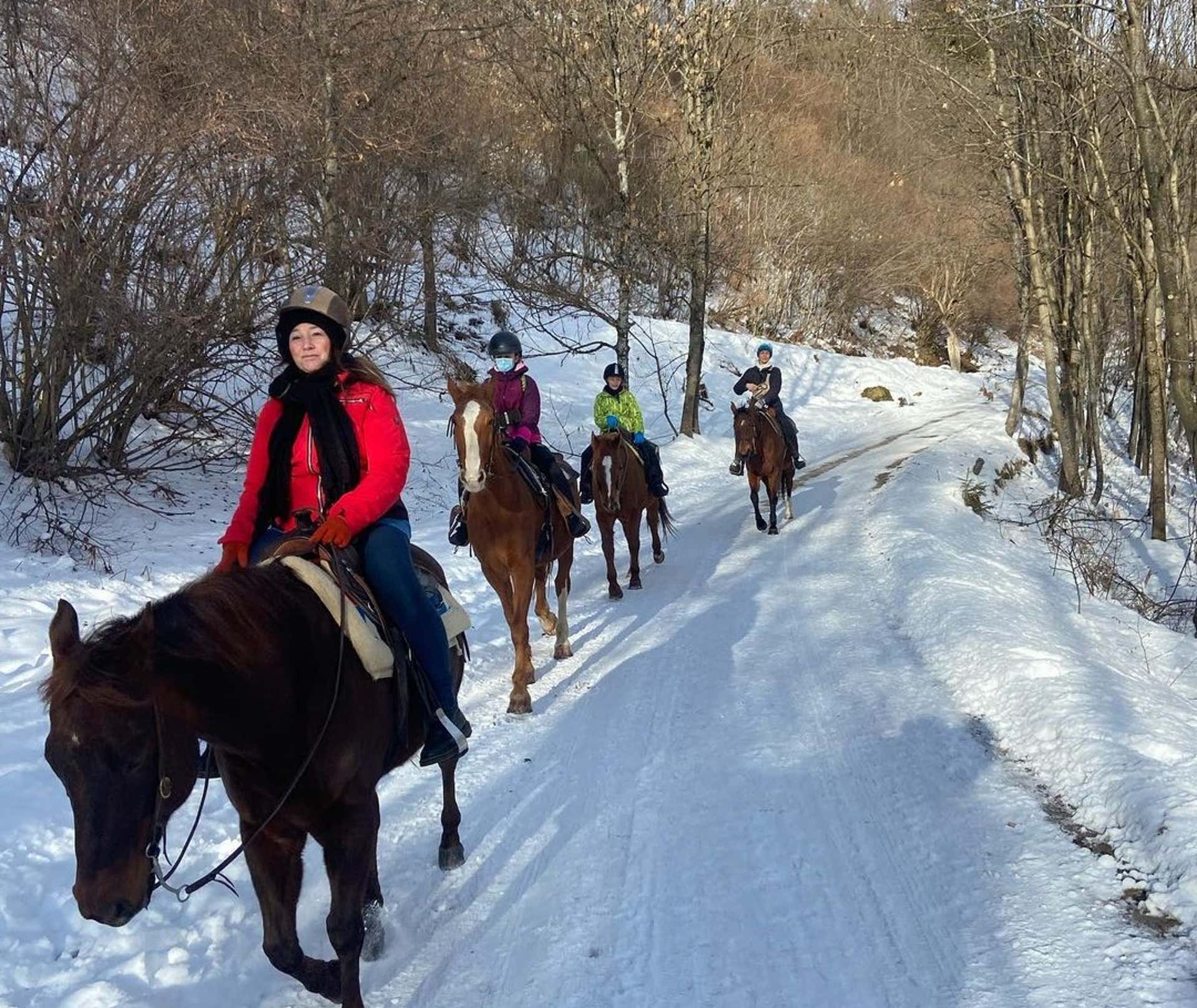 Passeggiata a cavallo sulla neve in Val di Pejo | Freedome