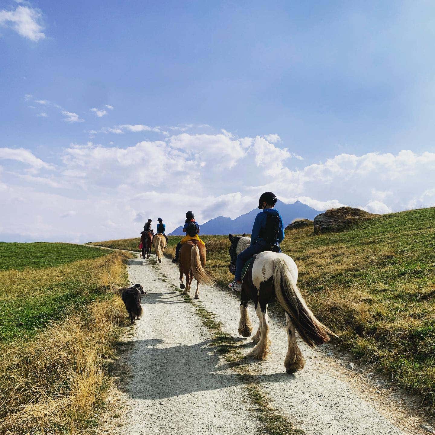 Passeggiata a cavallo lungo il Ru Courtaud in Val d’Ayas con merenda ...
