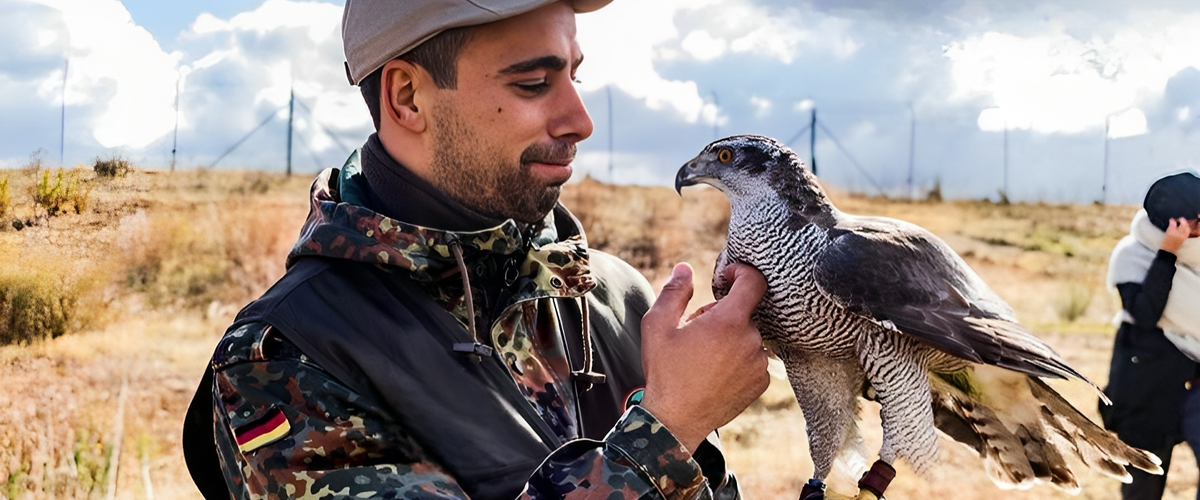 Falconiere per un giorno in provincia di Potenza | Freedome