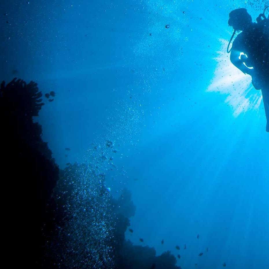 Doppia immersione subacquea nell’Area Marina Protetta di Capo Carbonara ...