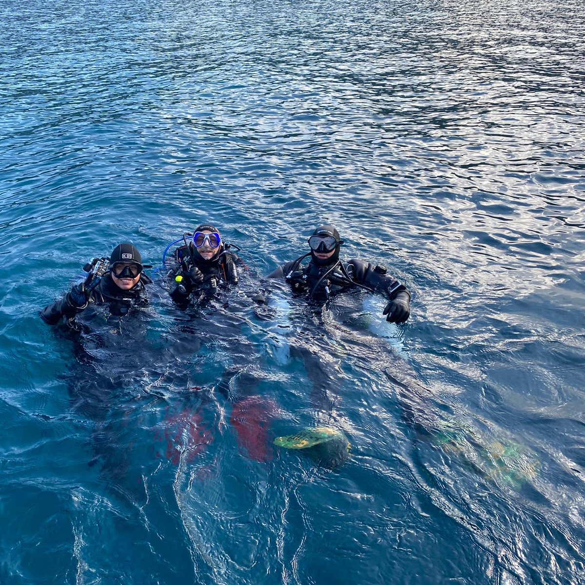 Battesimo del mare a Porto Santo Stefano | Freedome