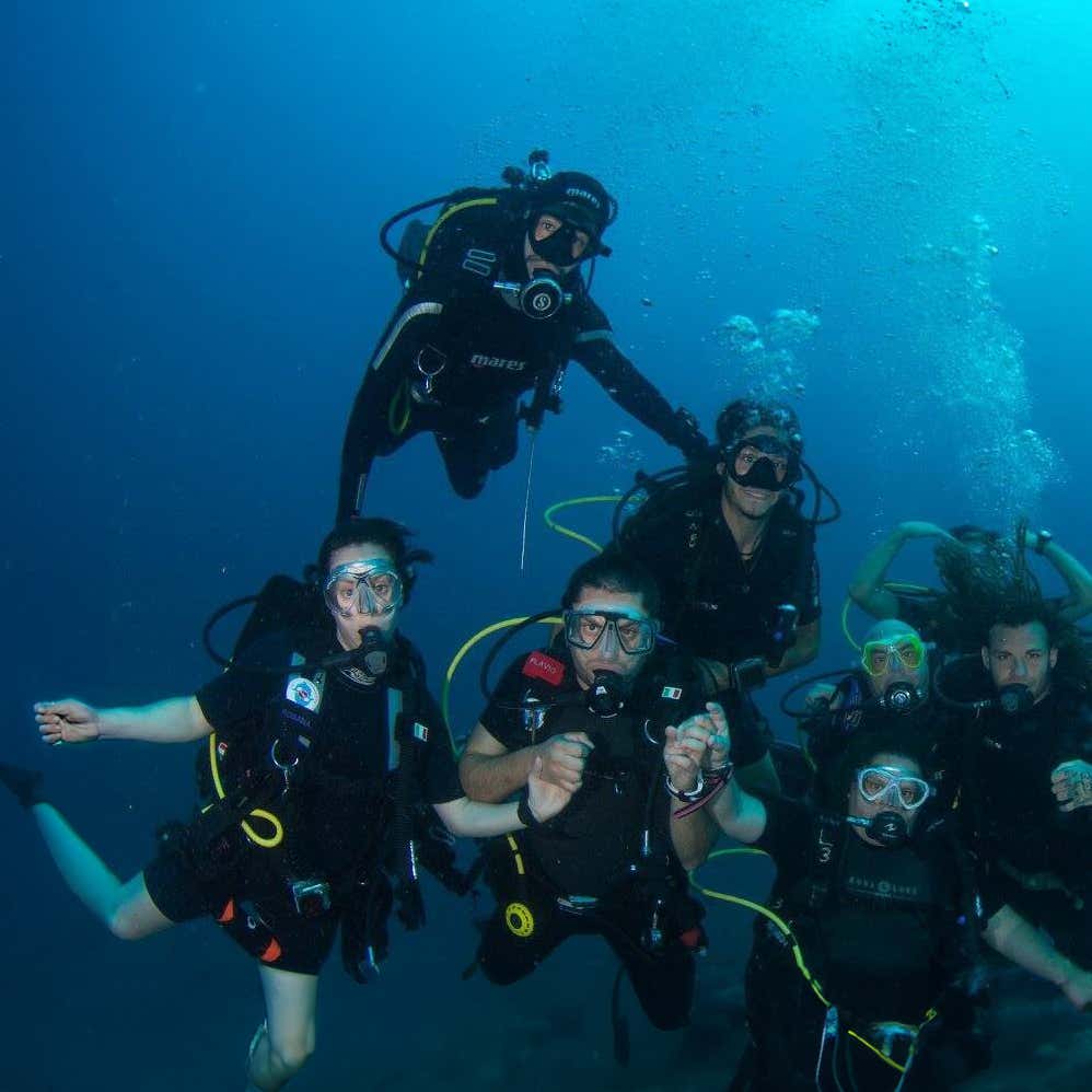 Battesimo del mare all’Orto subacqueo di Nemo a Noli | Freedome