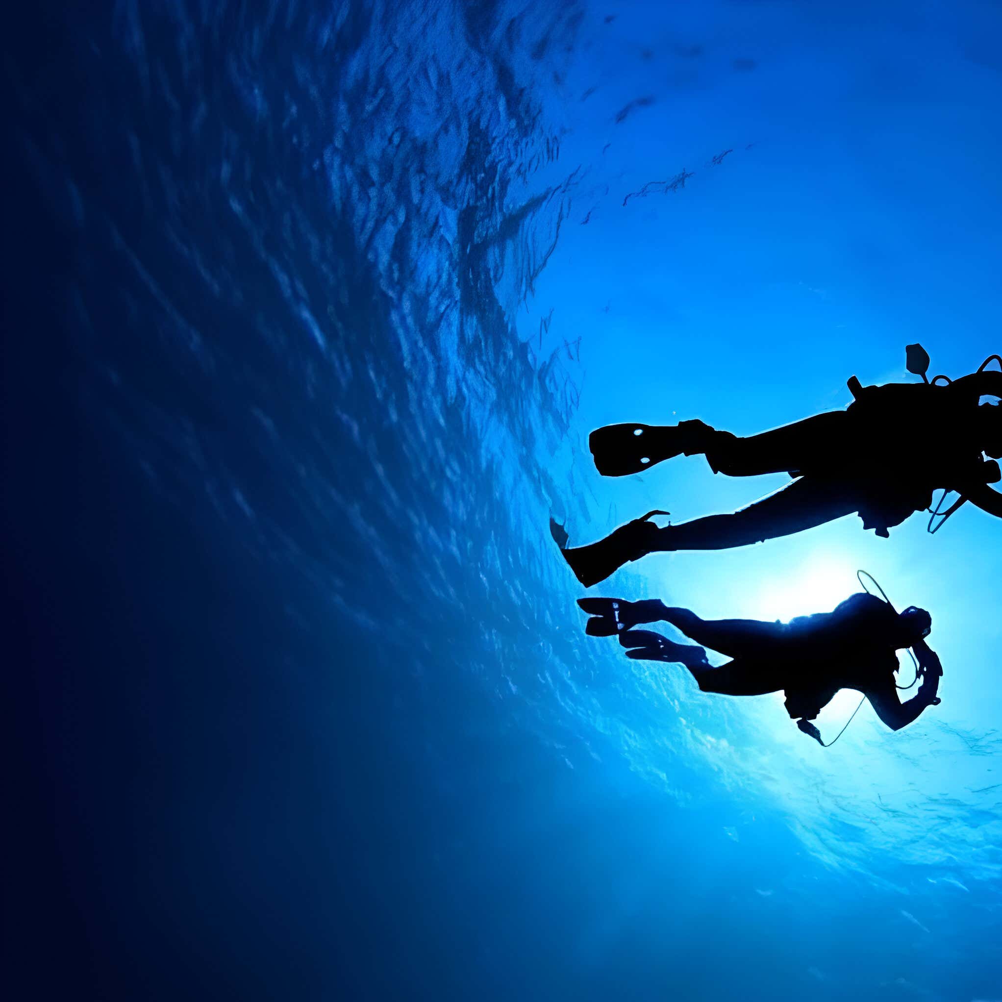 Immersione subacquea nell’Area Marina Protetta delle Cinque Terre ...