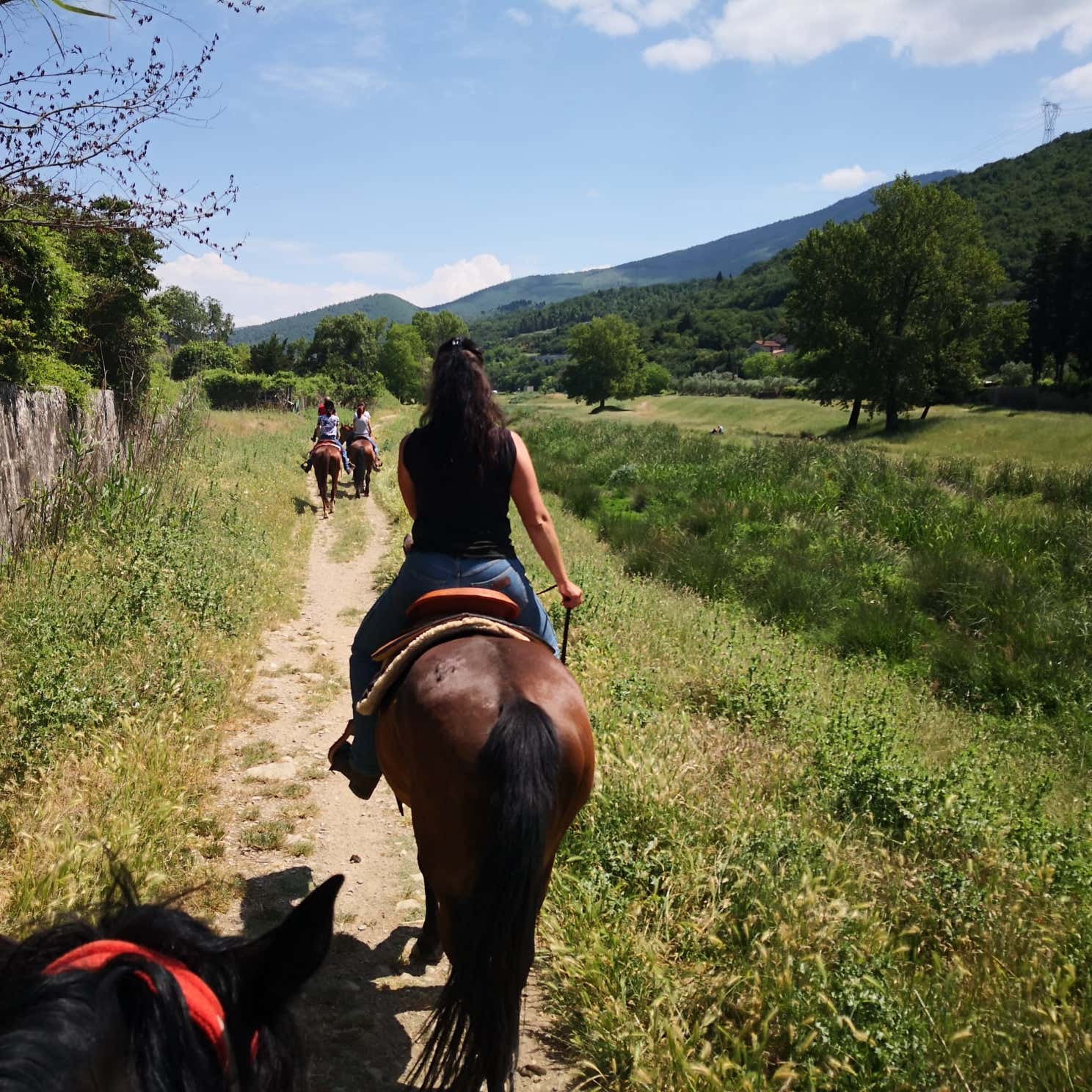 Passeggiata a cavallo di un’ora nella campagna fiorentina con aperitivo ...