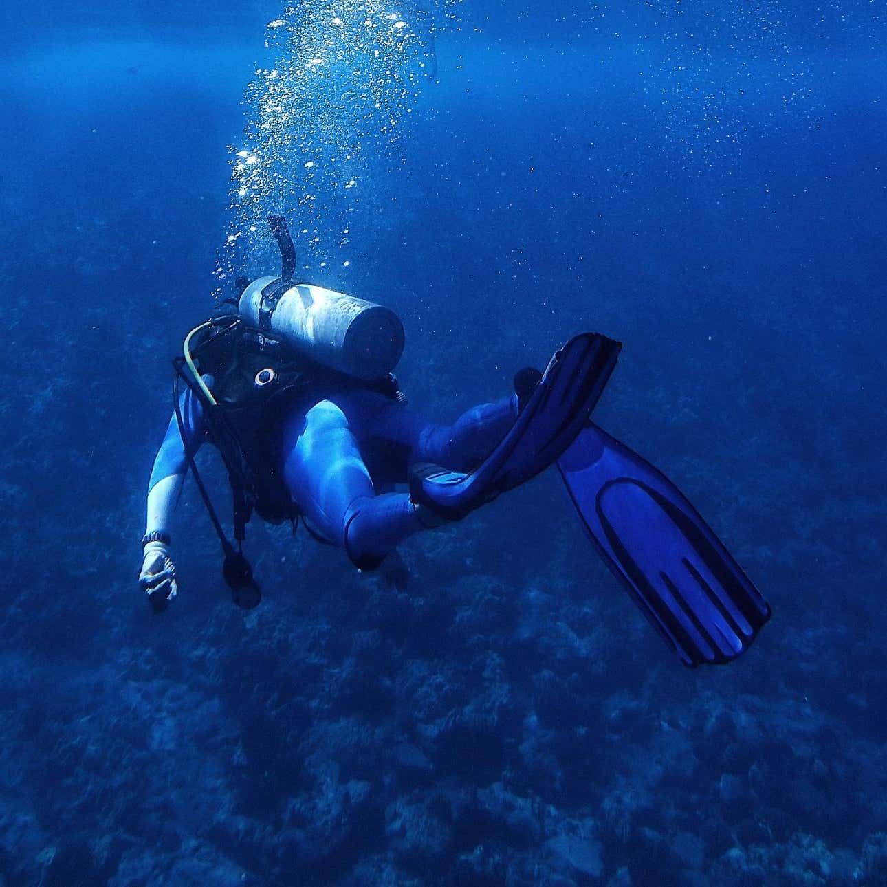 Doppia immersione subacquea a Taormina | Freedome