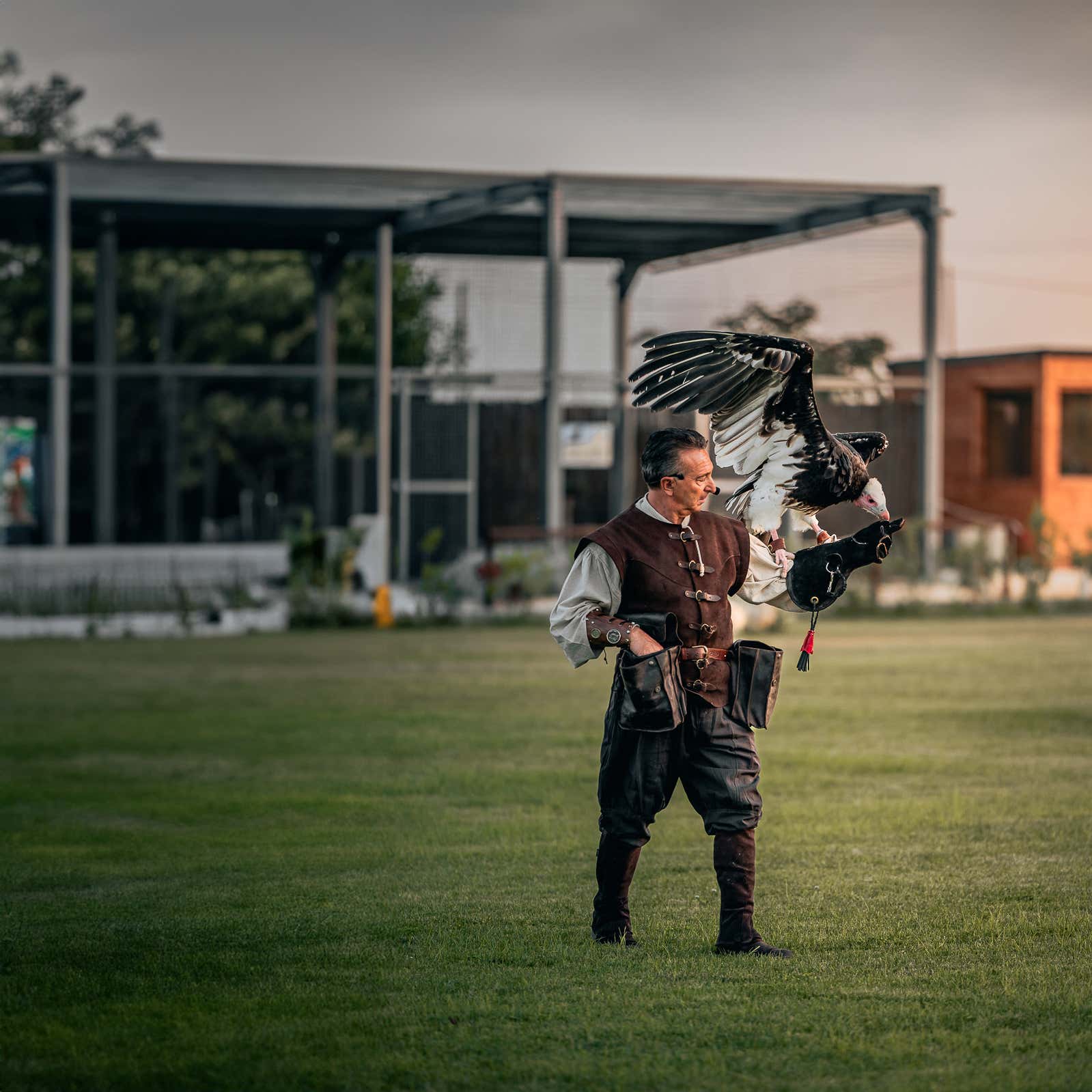 Falconiere per un giorno in provincia di Lecce | Freedome