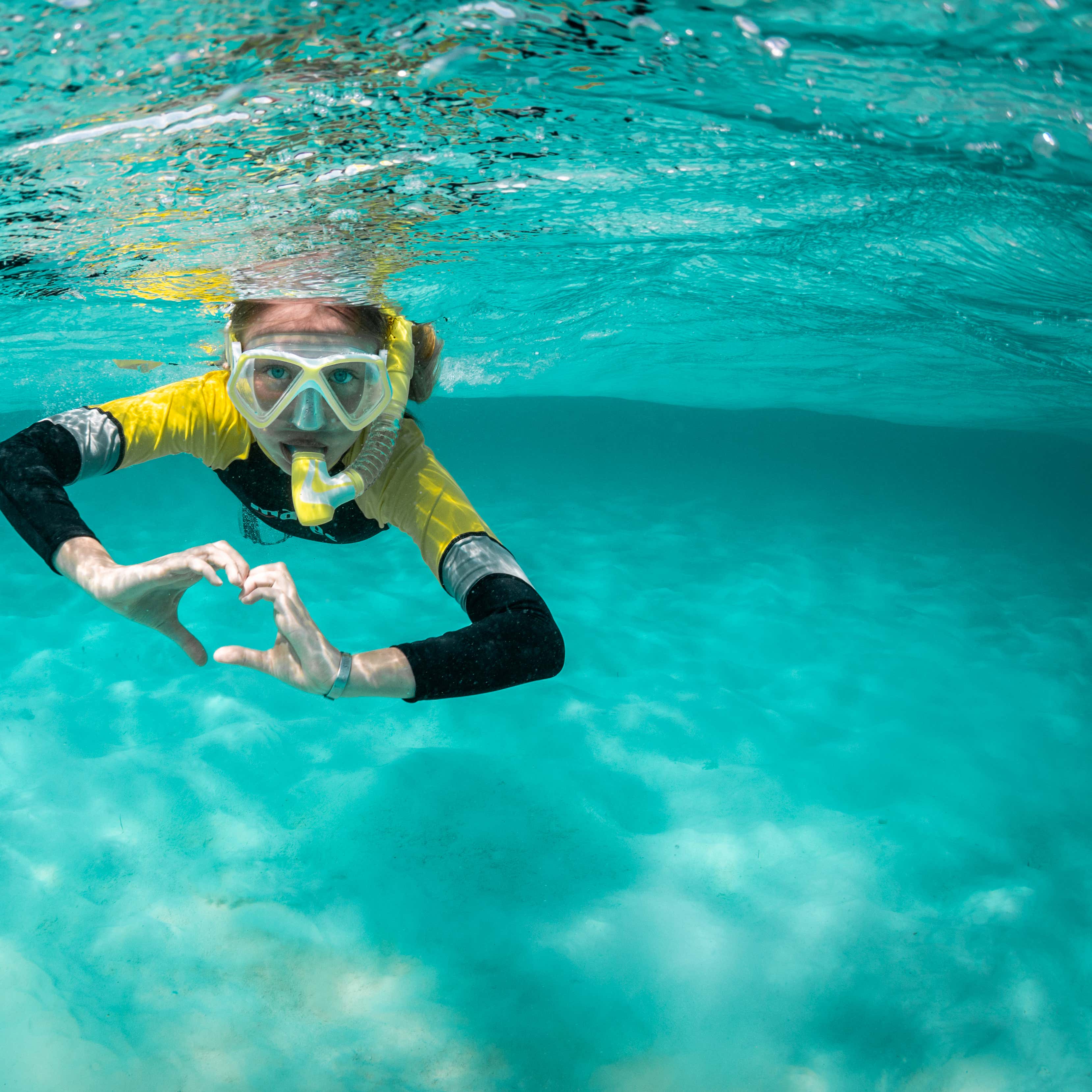 Snorkeling tour nel Santuario dei Cetacei all’Isola d’Elba | Freedome
