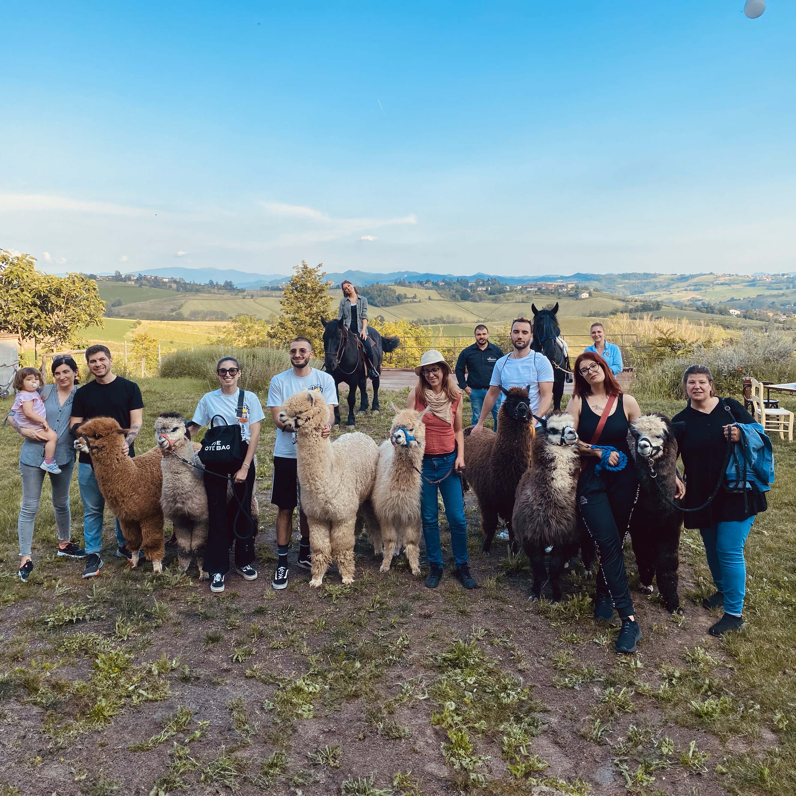 Passeggiata con alpaca e degustazione vini sui Colli Tortonesi | Freedome