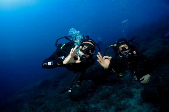 Sotto la superficie: la tua guida alle Immersioni Subacquee | Freedome