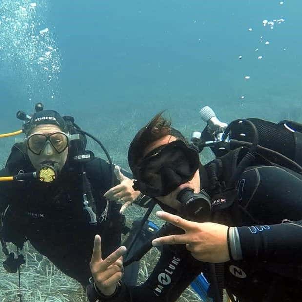 Battesimo subacqueo all’Isola d’Elba: immersione per principianti ...