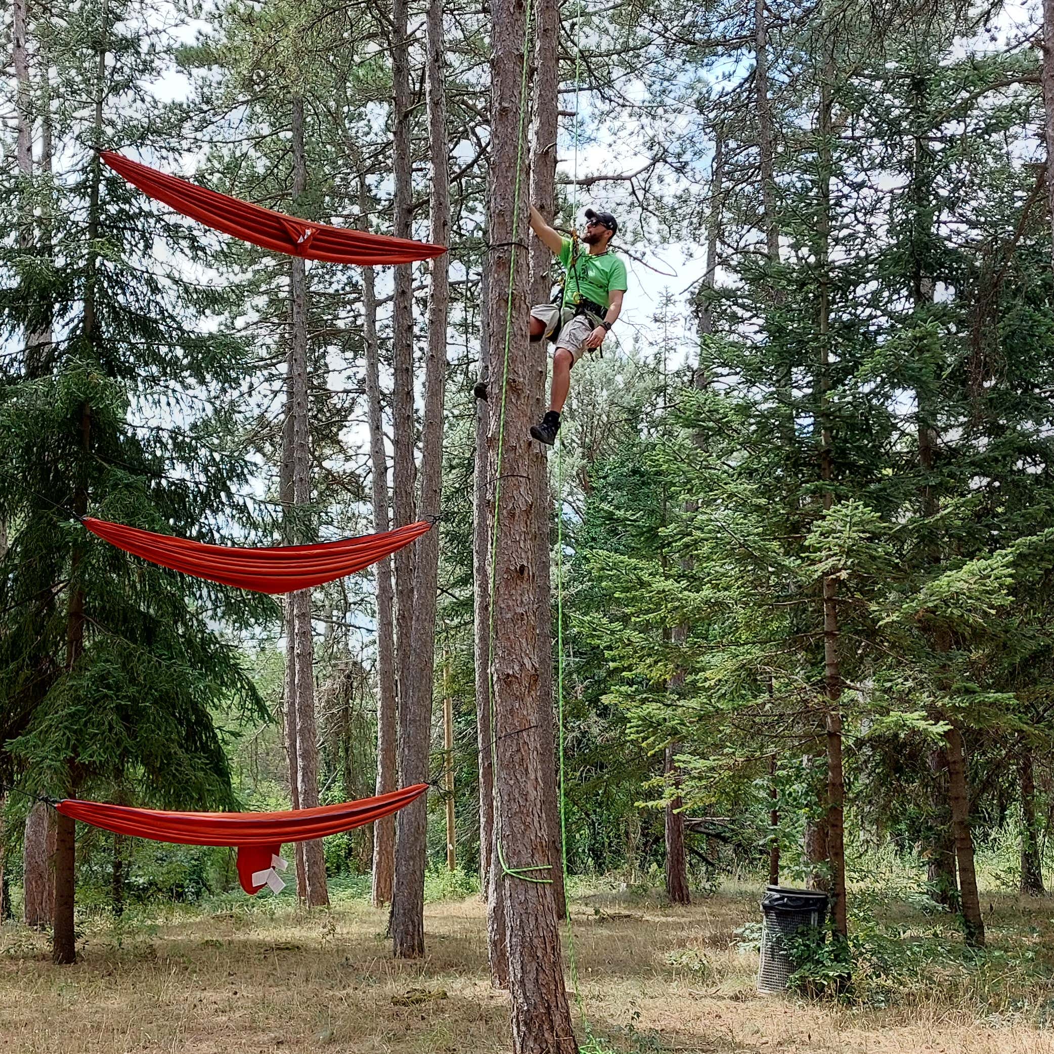 Tree camping in amaca sospesa e corso di tree climbing sul Gran Sasso ...