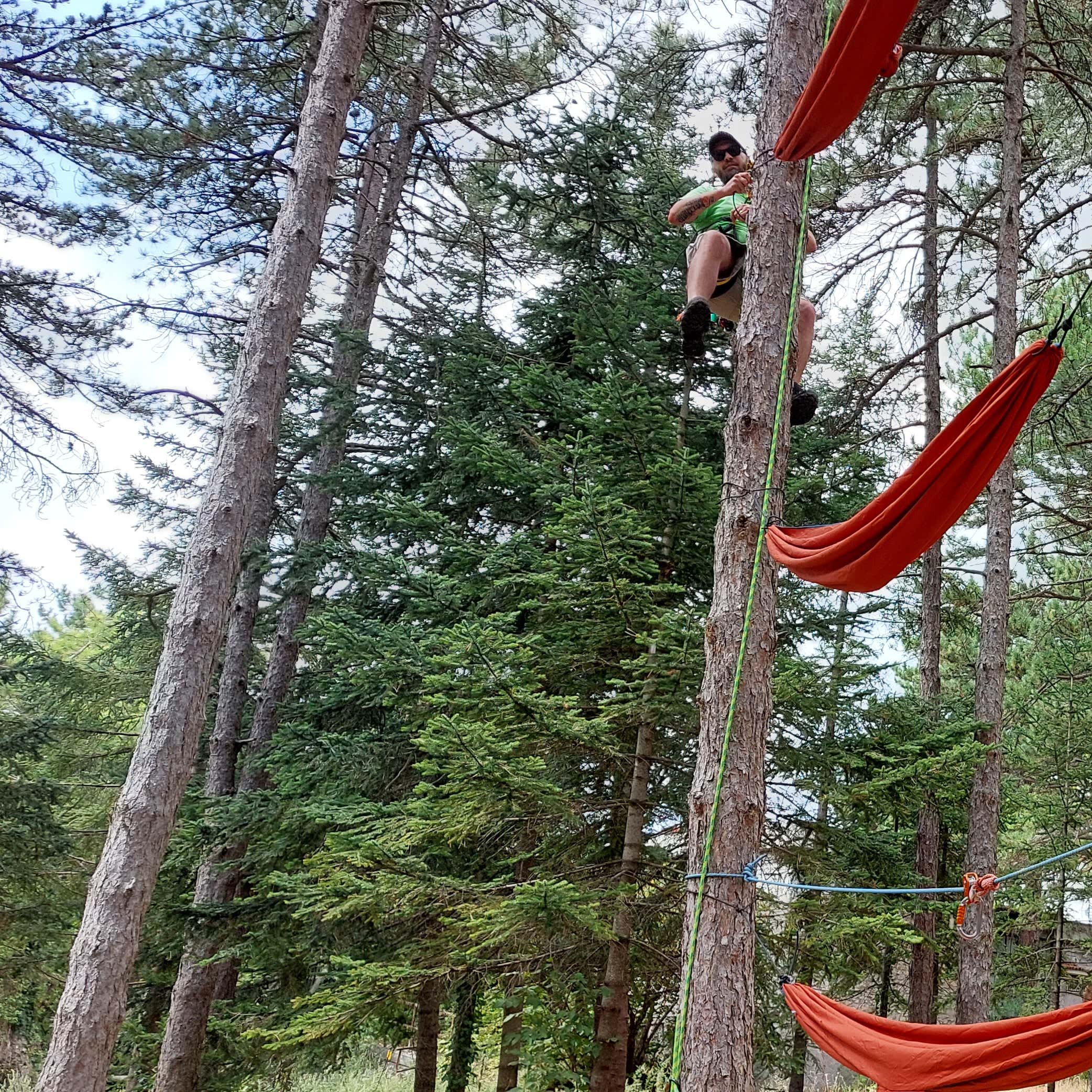 Tree camping in amaca sospesa sul Gran Sasso | Freedome