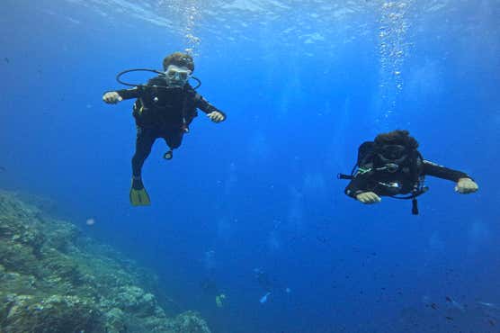 Sotto la superficie: la tua guida alle Immersioni Subacquee | Freedome