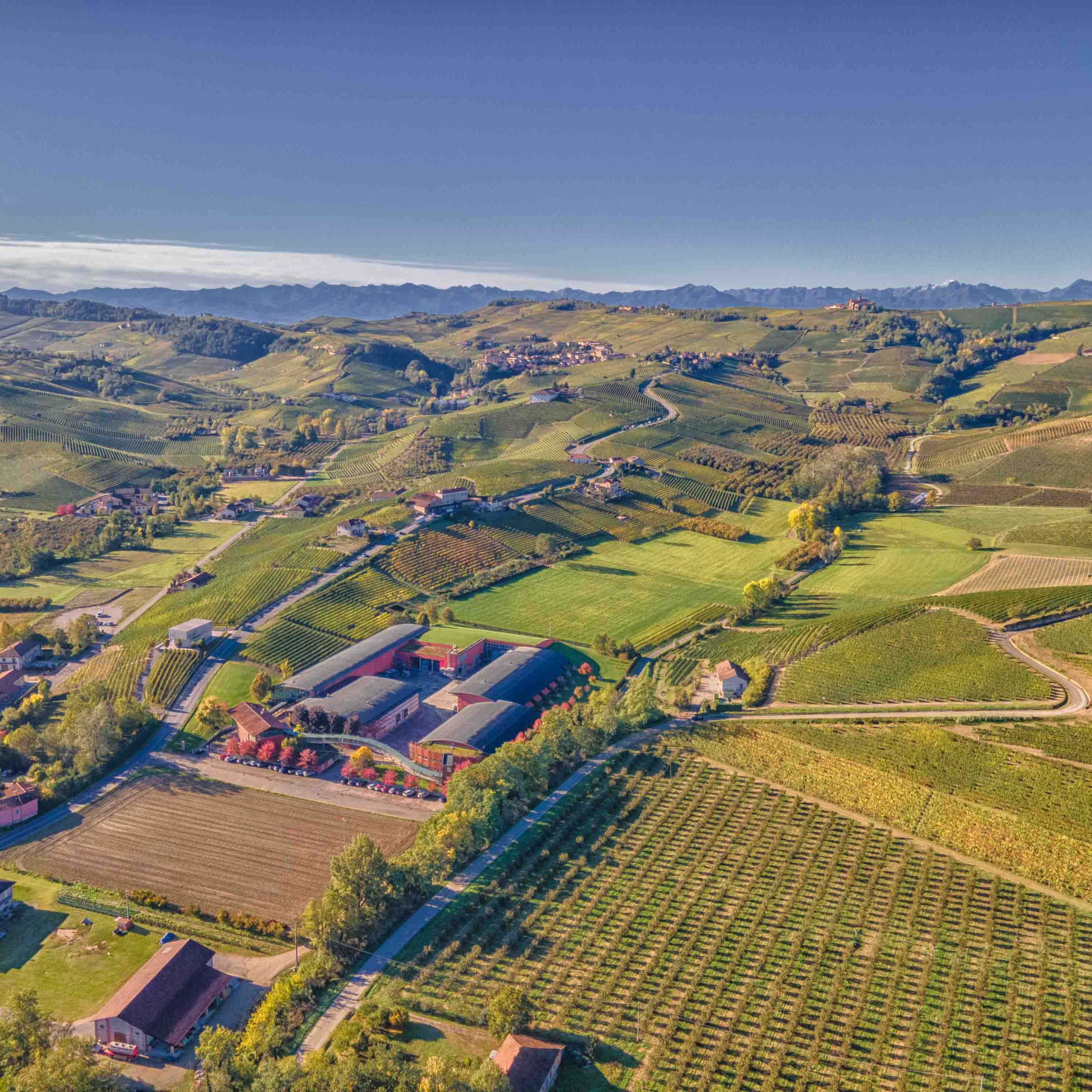 Degustazione di vini del Piemonte con visita in cantina a Barolo | Freedome