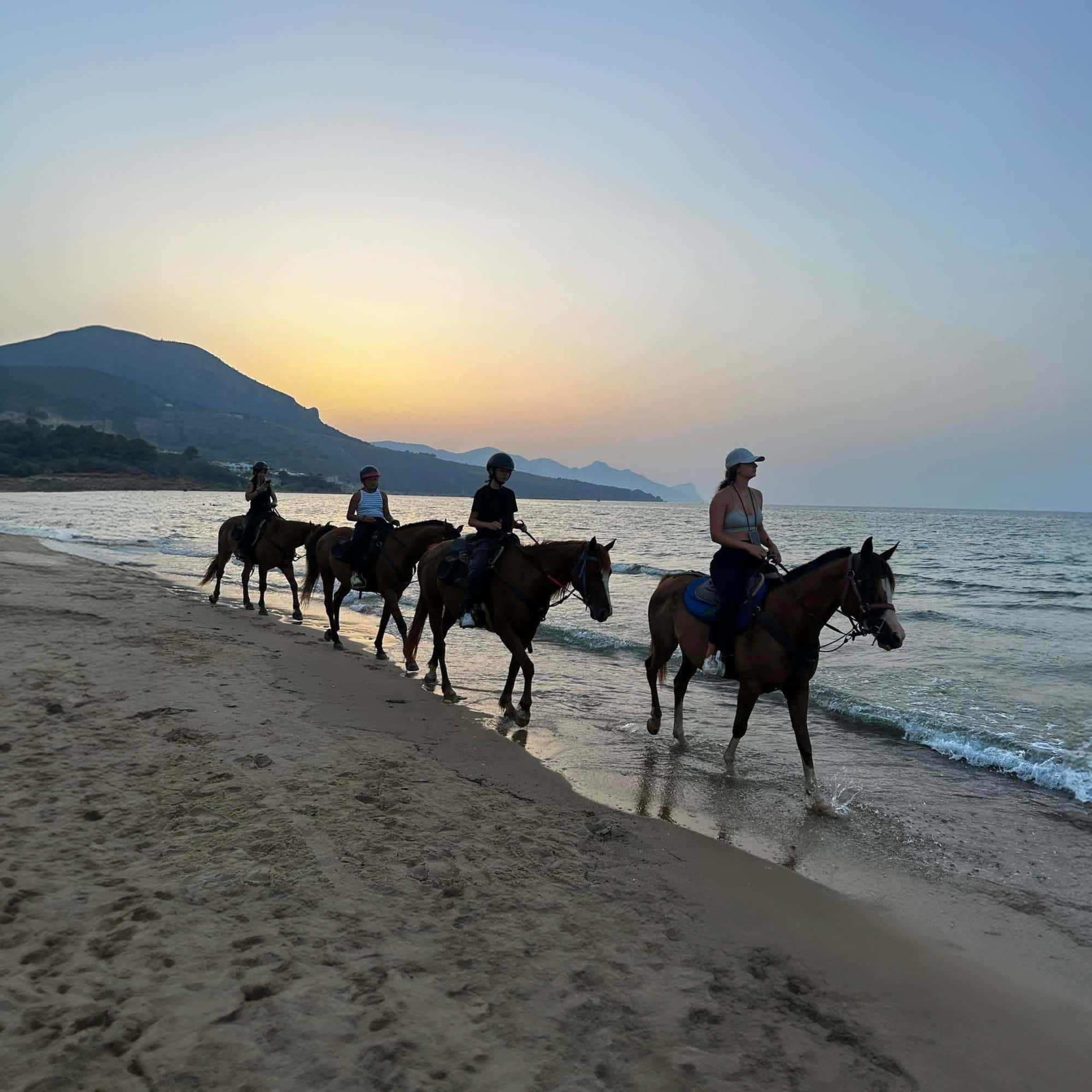 Passeggiata a cavallo sulla spiaggia di Castellammare del Golfo all ...
