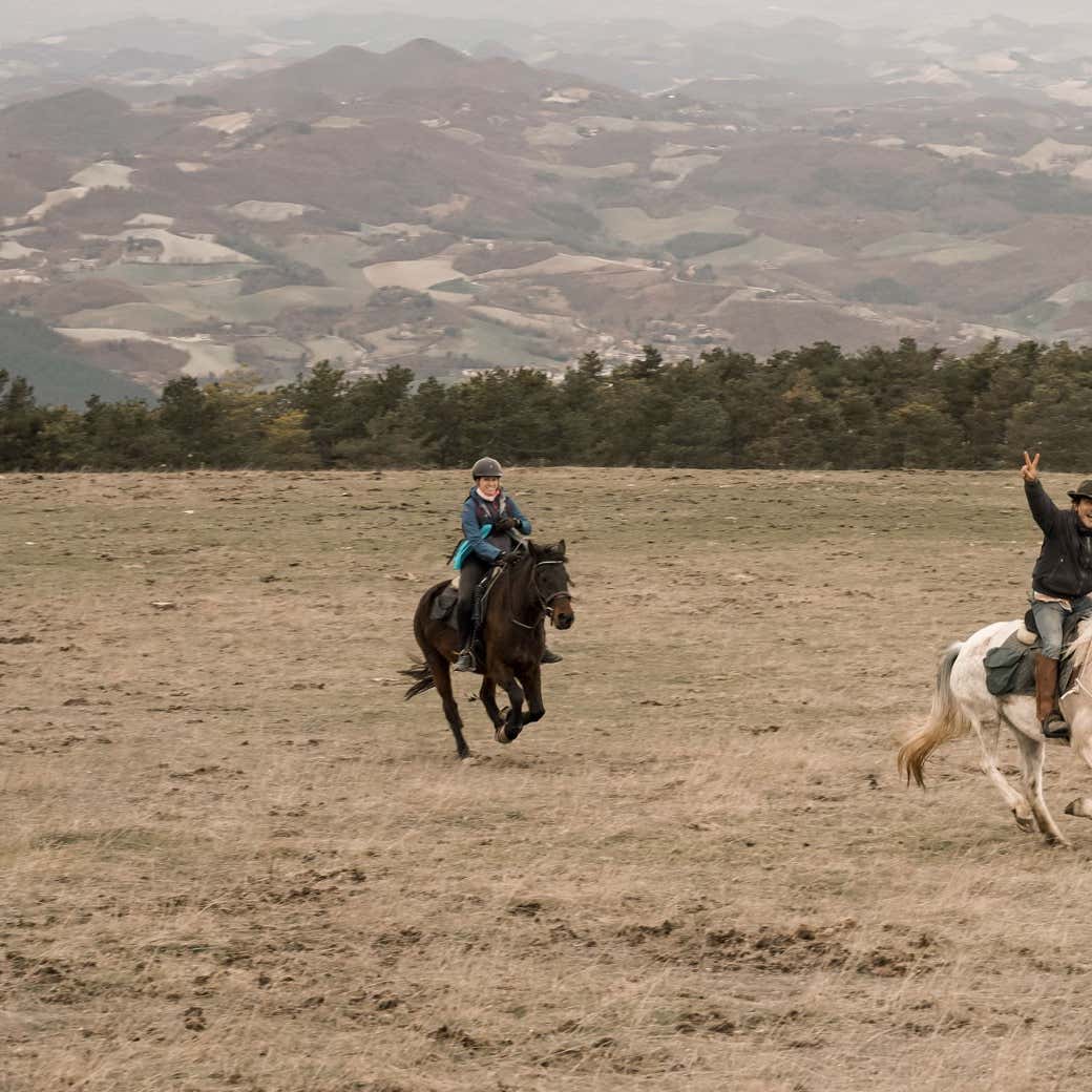 Passeggiata a cavallo panoramica sulle colline di Urbino | Freedome