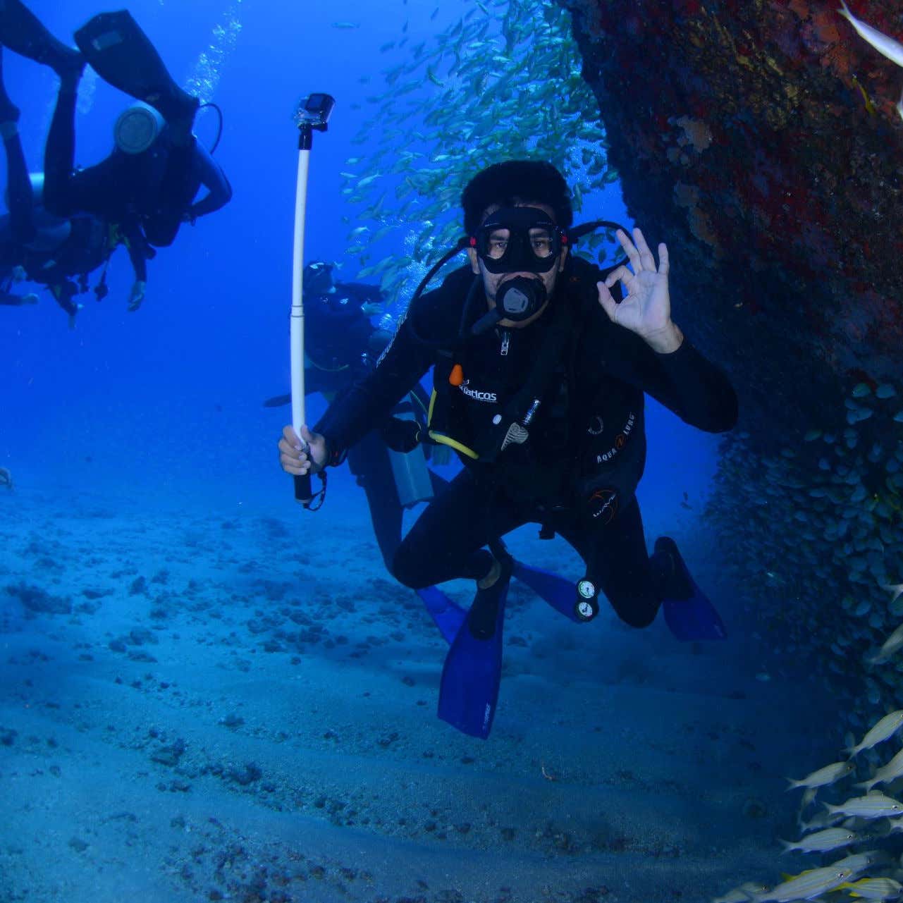 Immersione subacquea sui fondali della Costa degli Dei | Freedome