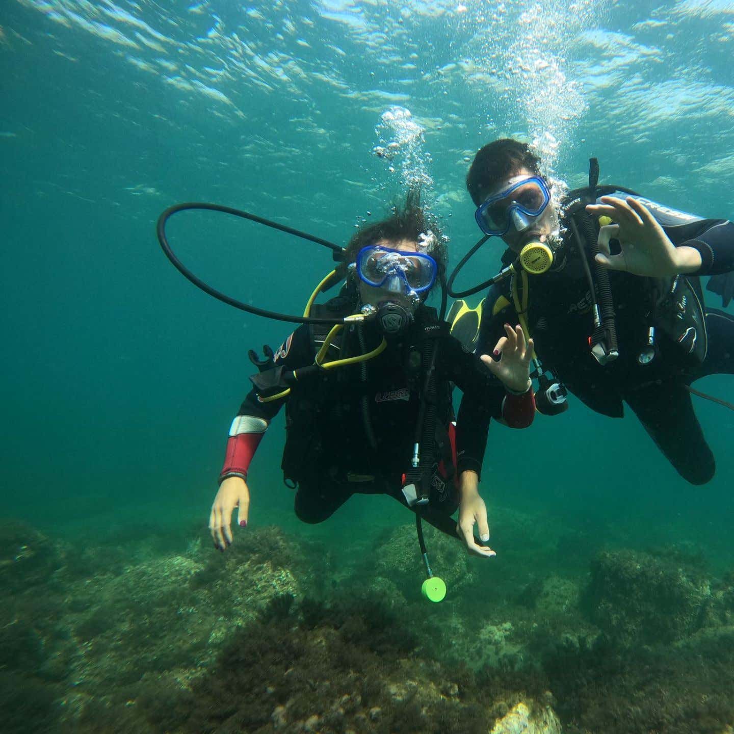 Battesimo subacqueo all’Isola d’Elba | Freedome