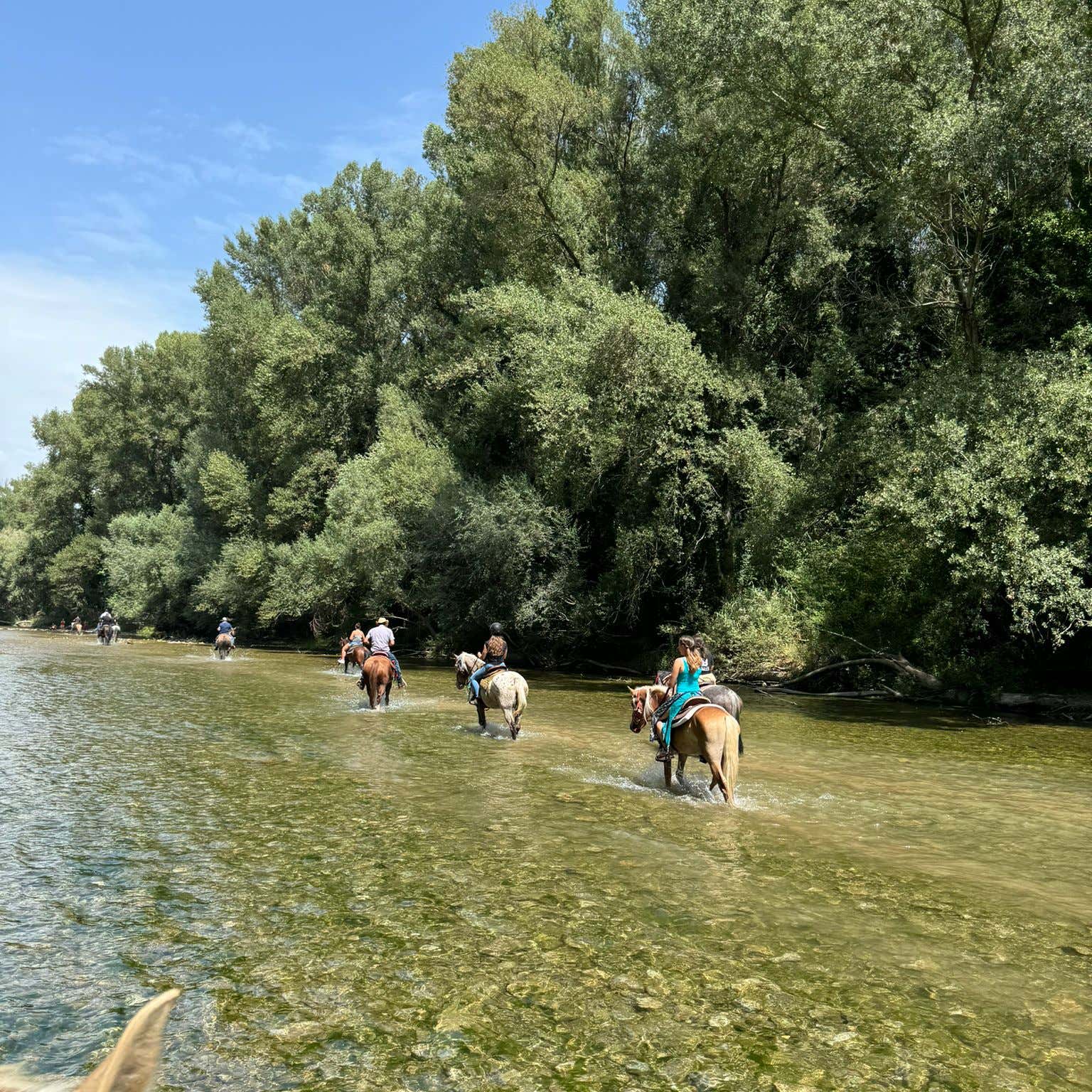 Passeggiata a cavallo nell’Oasi di Persano con pranzo | Freedome