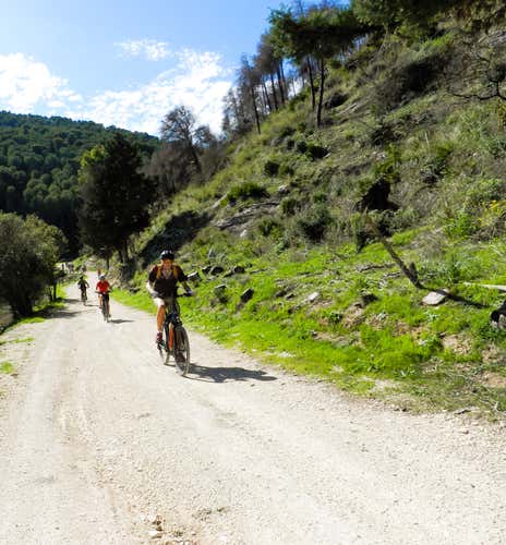 Tour in e-bike tra vigne e mare da Castellammare del Golfo a Scopello ...