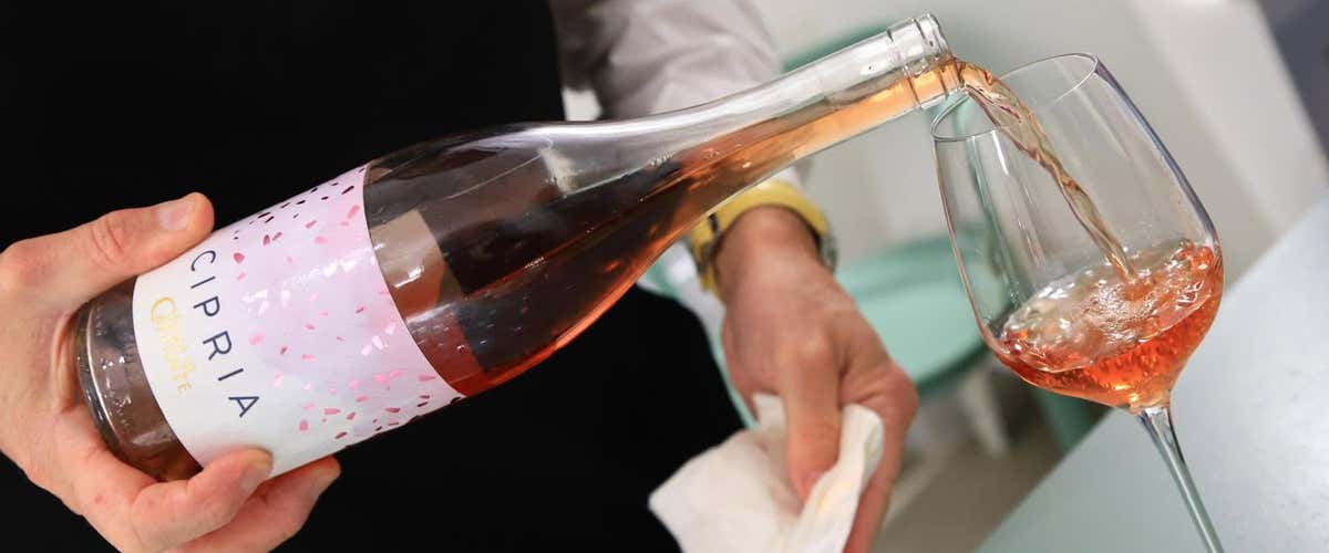 Tour in vigna con degustazione vini a Usini “La Città del Vino” vicino ...
