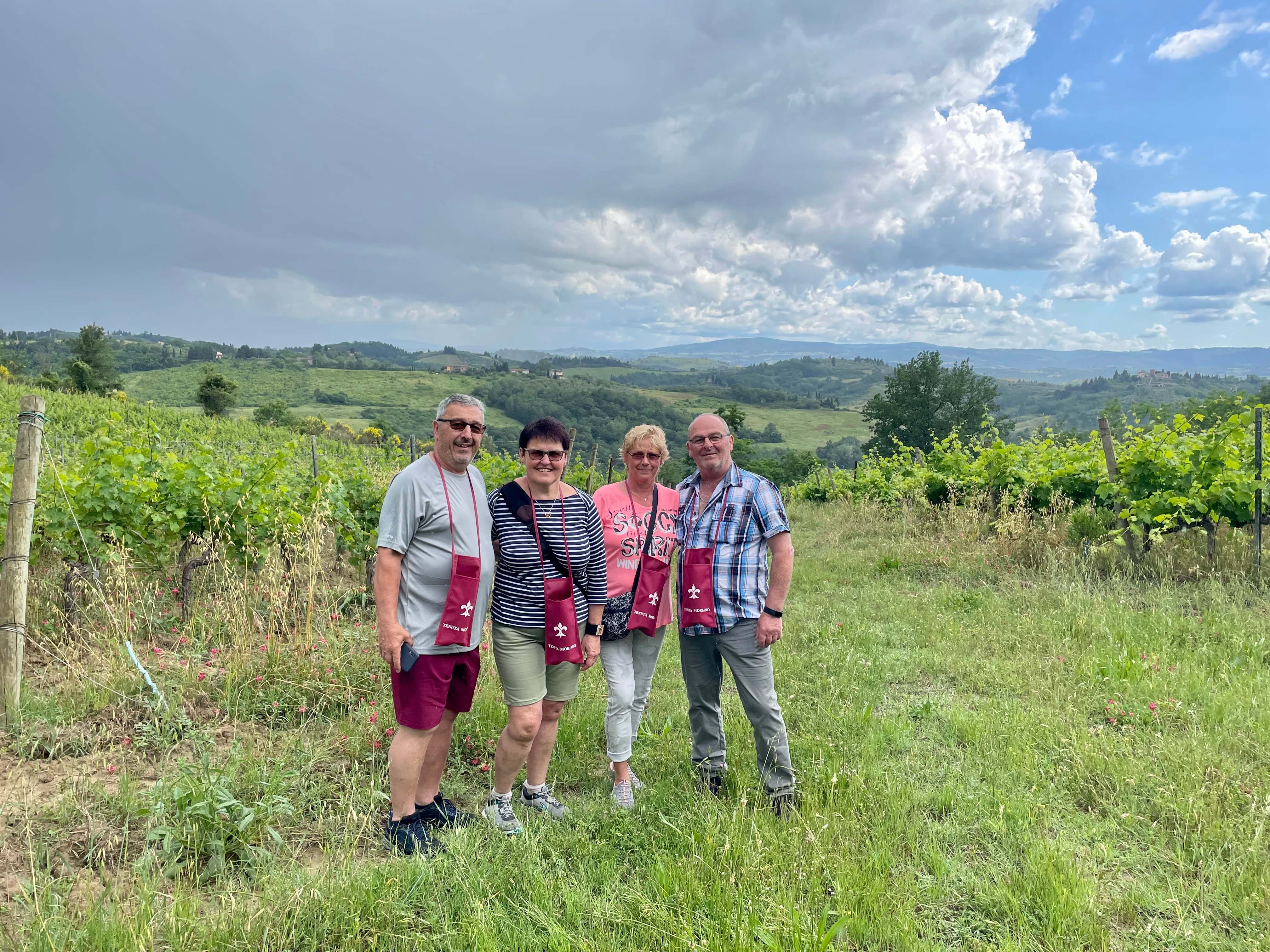Passeggiata in vigna con degustazione vini itinerante nel Chianti a ...