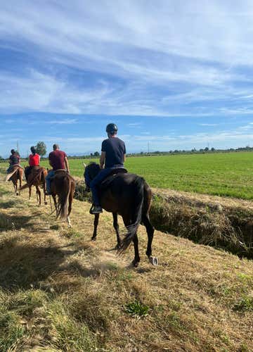 Passeggiata a cavallo nella natura in provincia di Lodi | Freedome