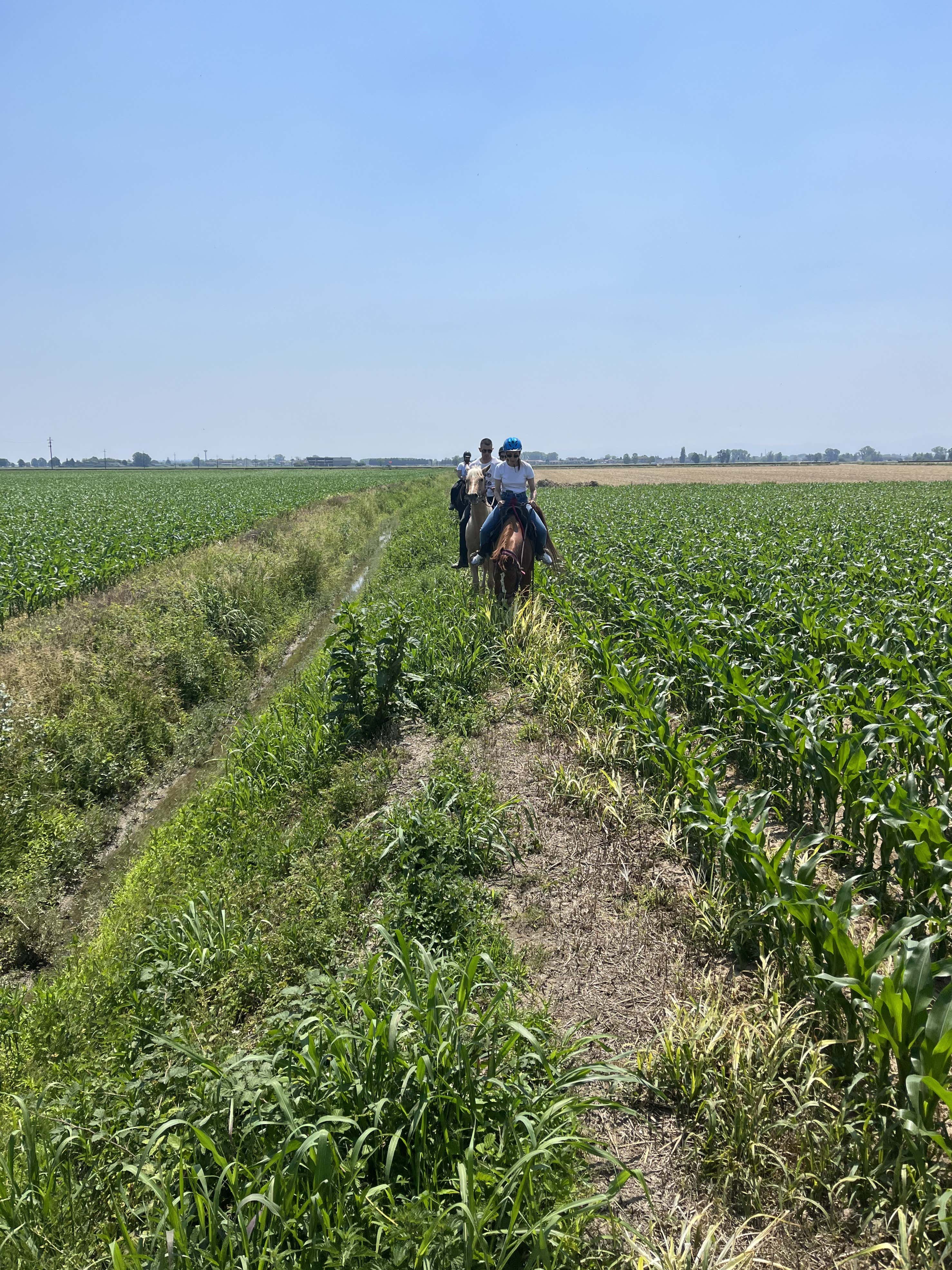 Passeggiata a cavallo nella natura in provincia di Lodi | Freedome