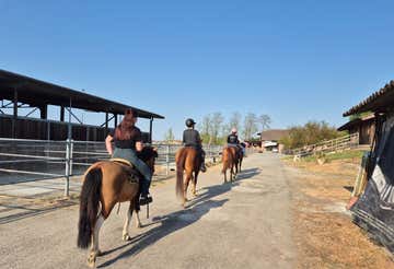 Passeggiata a cavallo e aperitivo in provincia di Lodi | Freedome