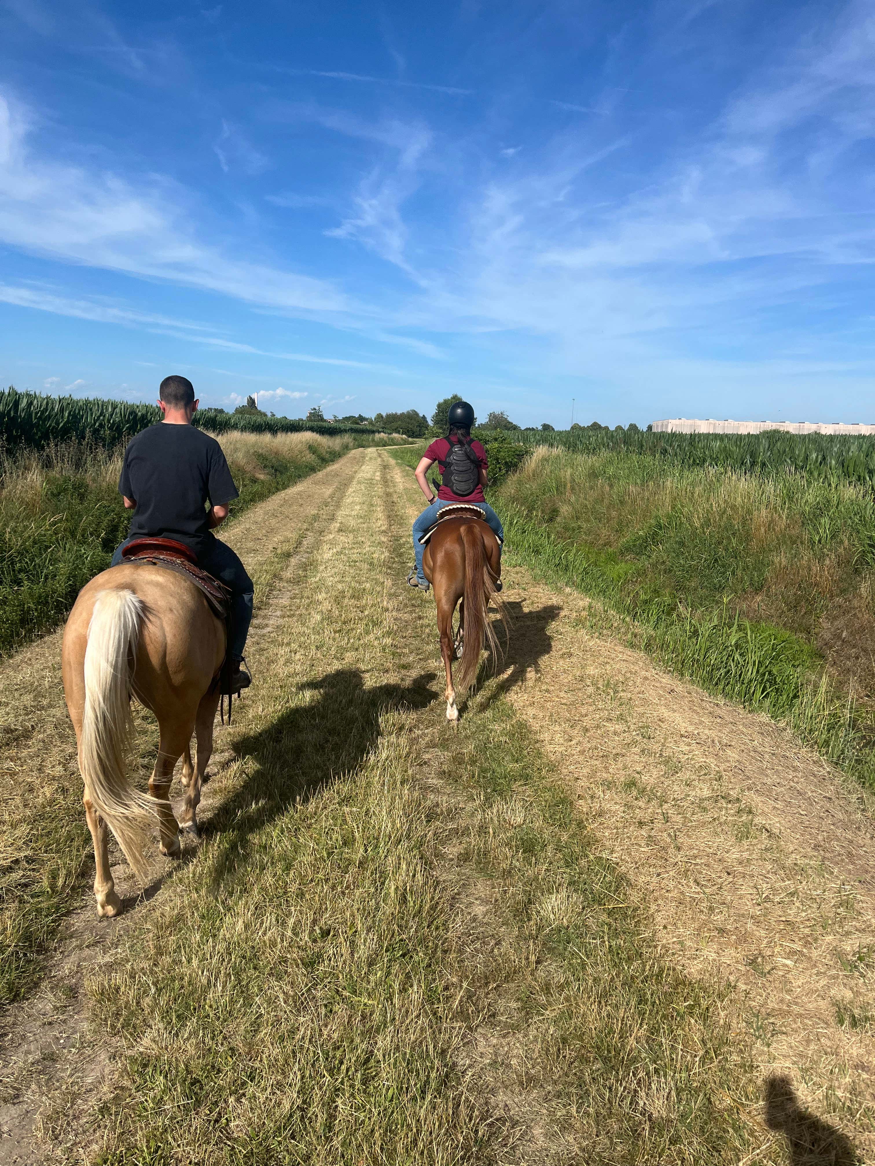 Passeggiata a cavallo nella natura in provincia di Lodi | Freedome