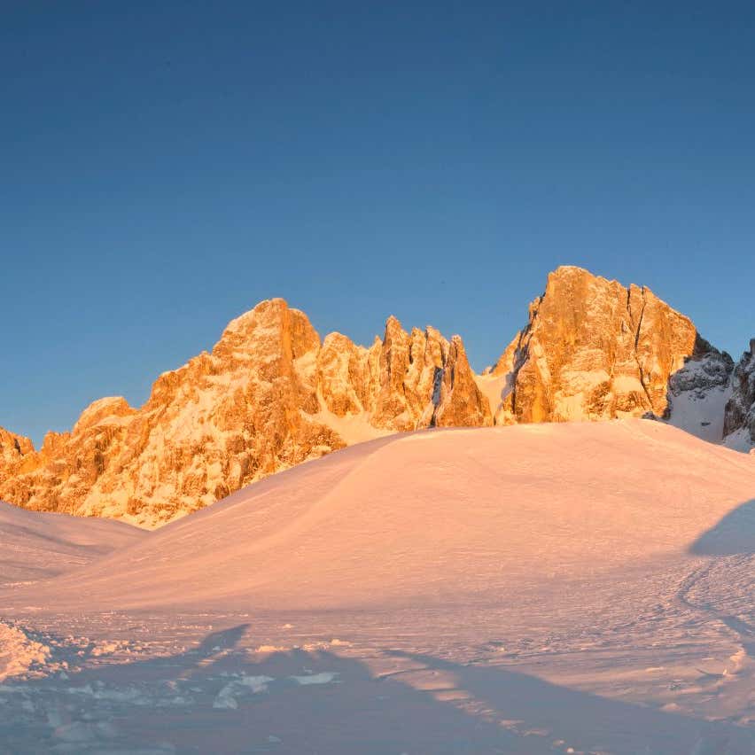 Trekking fotografico a Passo Rolle | Freedome