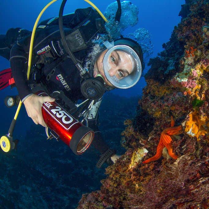 Immersione subacquea a Bosa Marina | Freedome