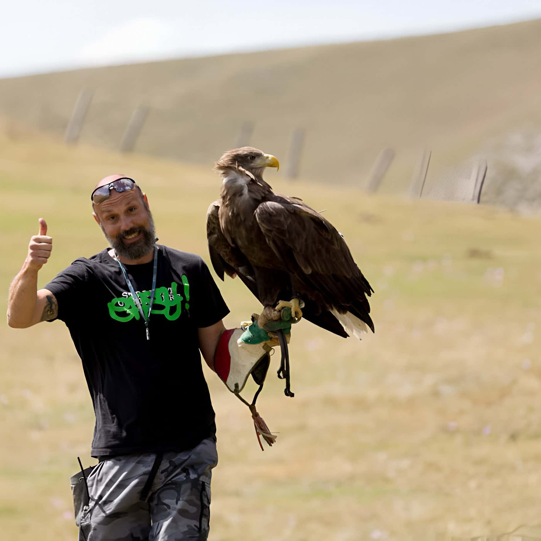 Falconiere per un giorno in provincia di Macerata | Freedome