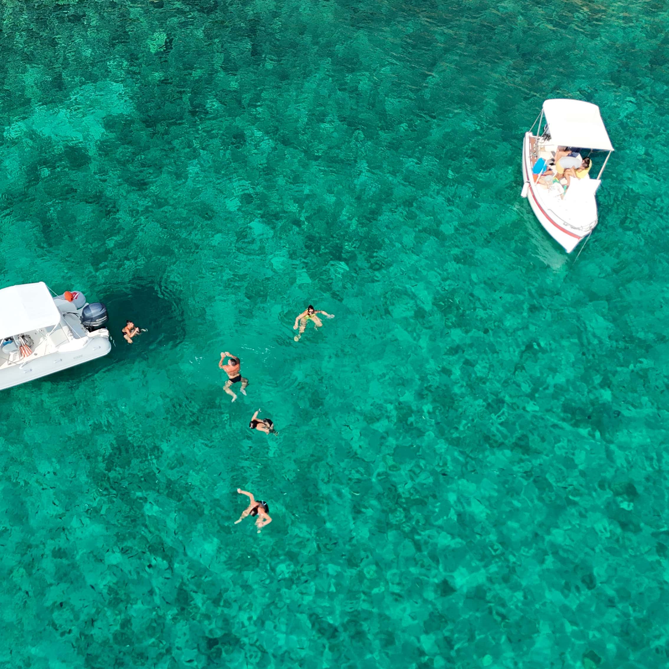 Tour in gommone e snorkeling nel Parco Naturale di Porto Conte e Capo ...