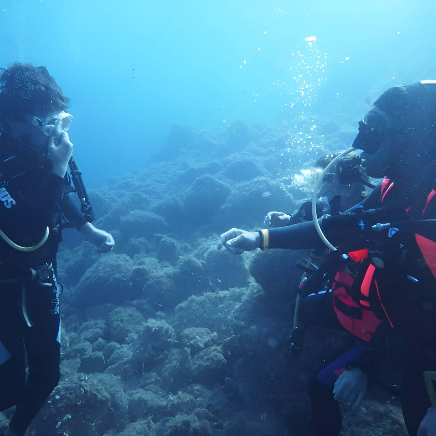 Corso subacqueo a Maratea in Basilicata | Freedome