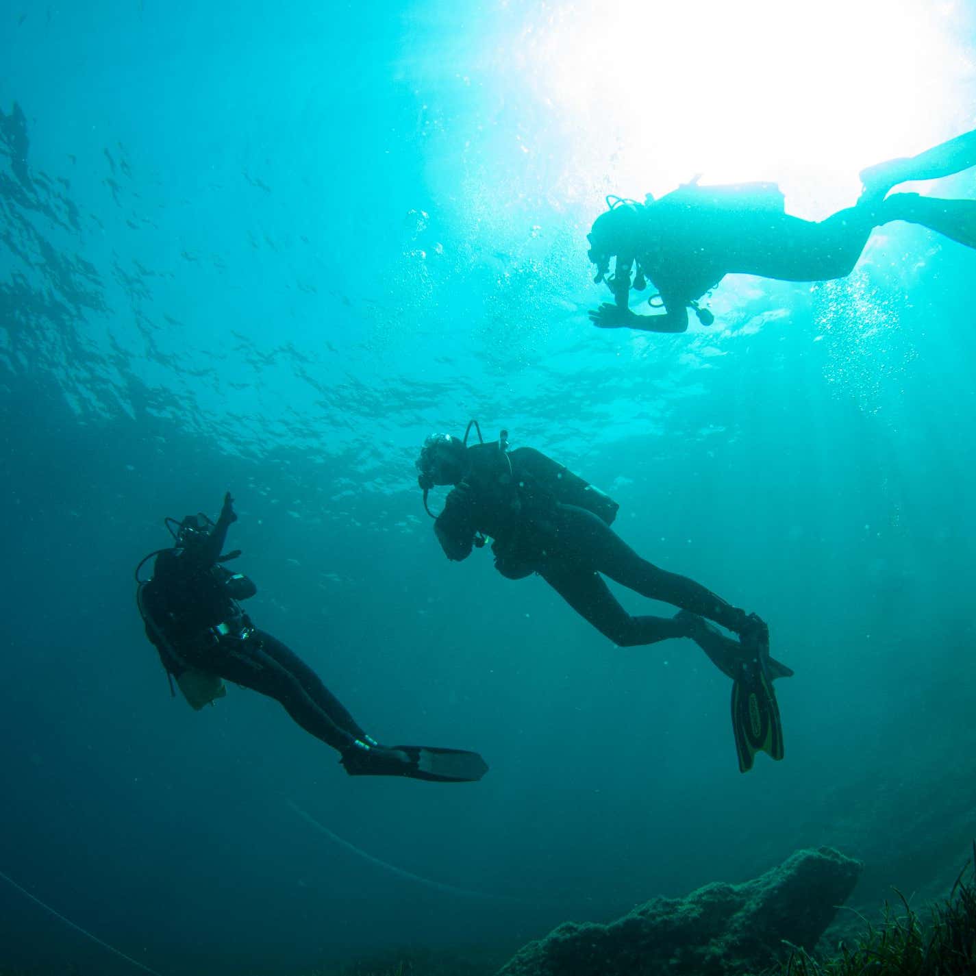 Doppia immersione subacquea nel mare dell’Argentario | Freedome