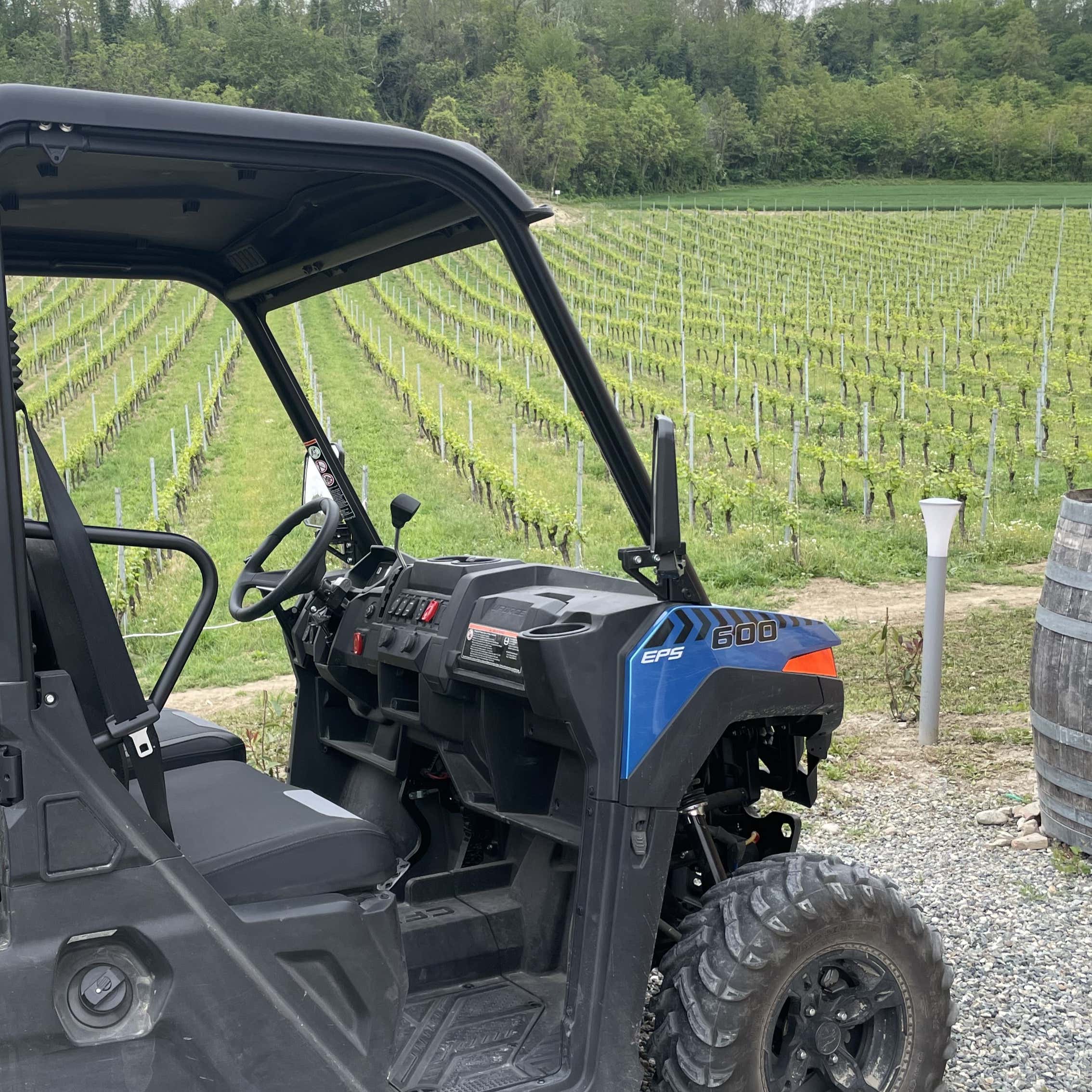 Tour in buggy tra i vigneti del Monferrato con degustazione | Freedome