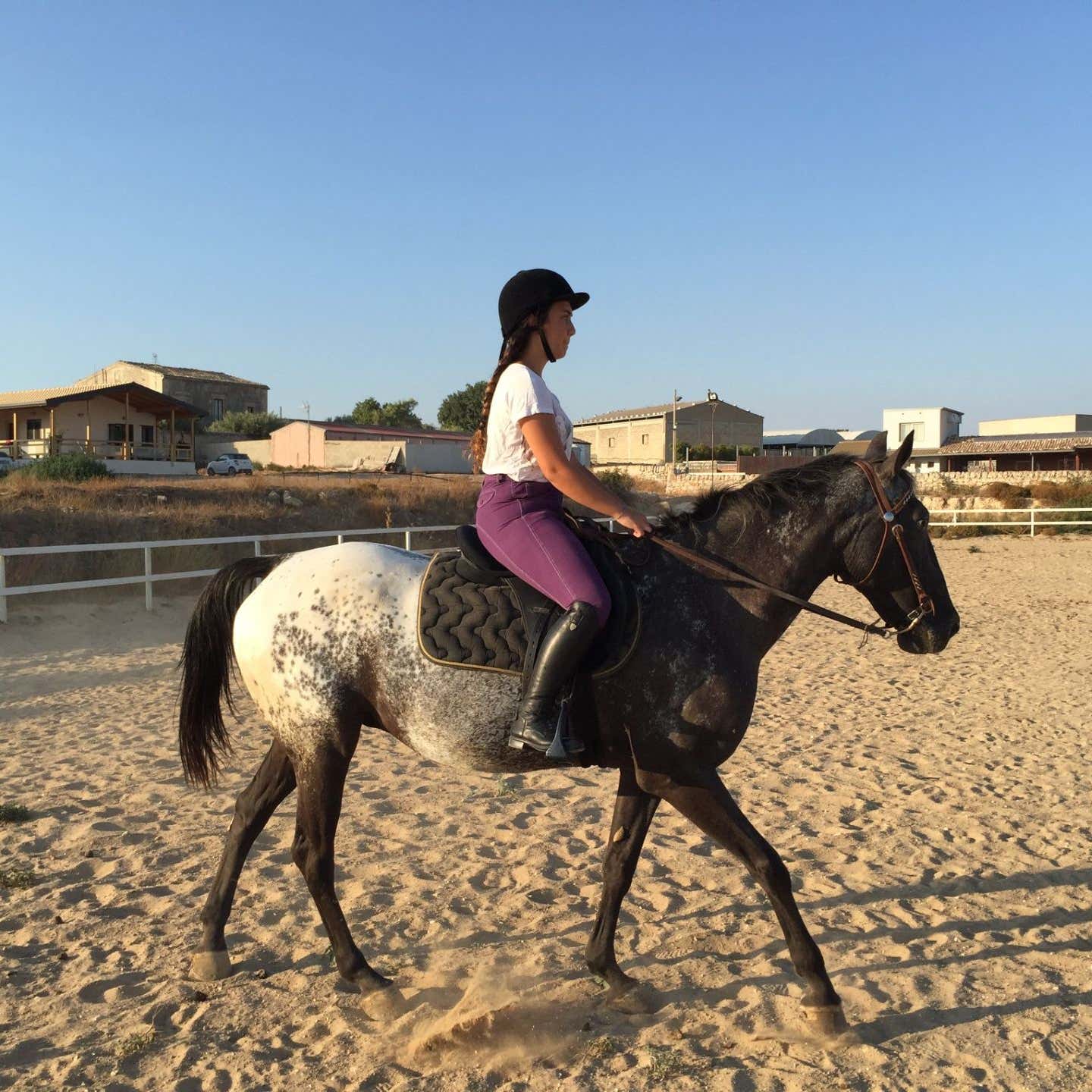 Battesimo della sella a Ragusa | Freedome