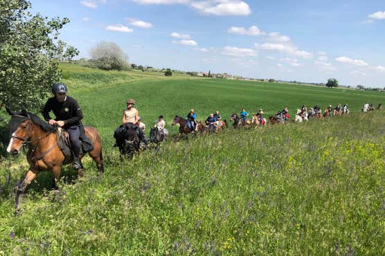 Passeggiate a cavallo Milano: escursioni e prezzi | Freedome