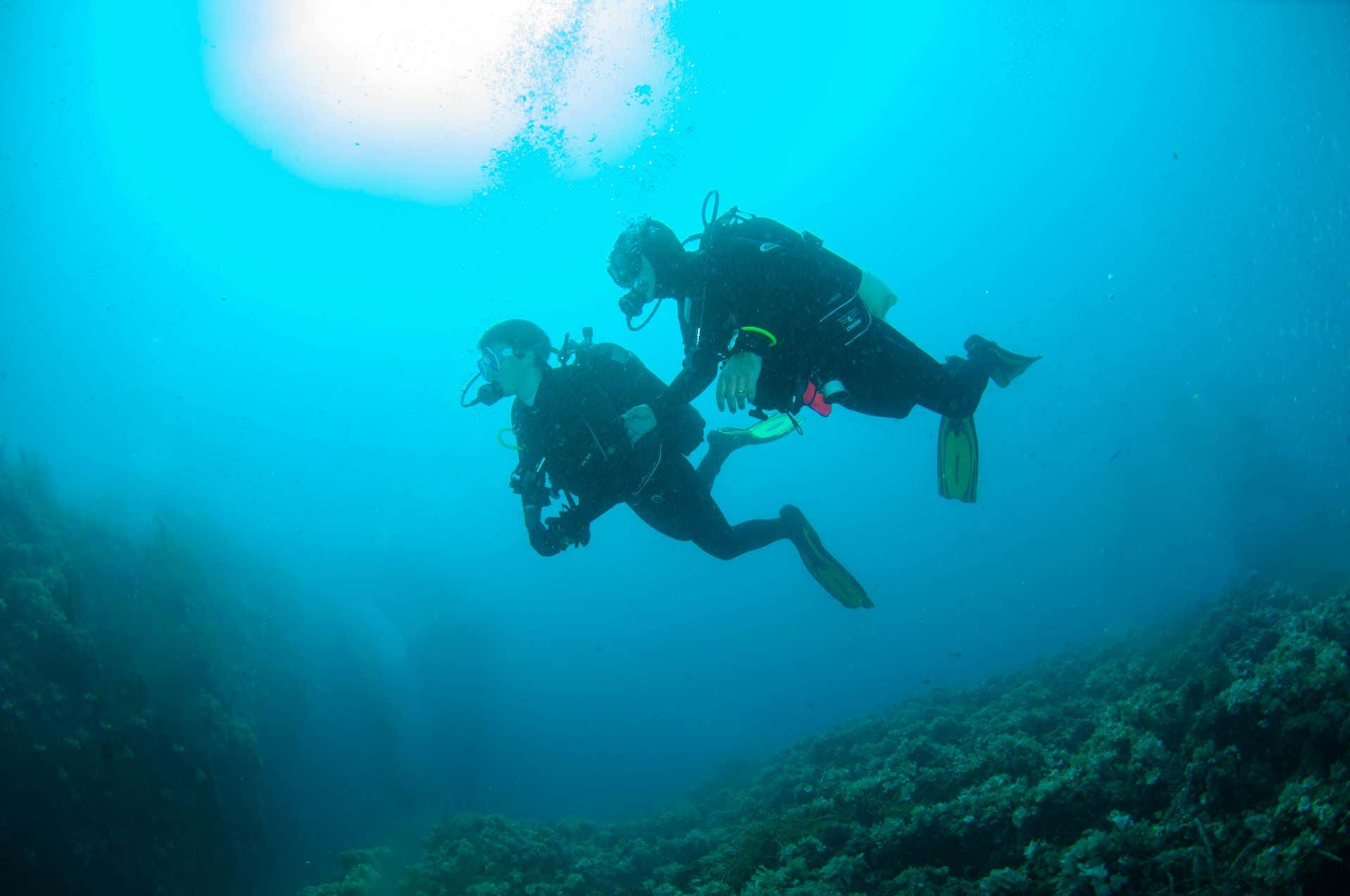 Battesimo subacqueo nel mare dell’Argentario | Freedome