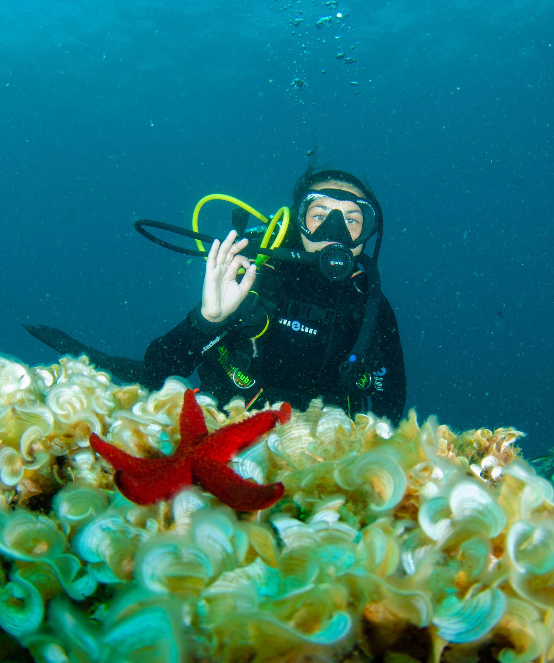 Battesimo subacqueo nel mare dell’Argentario | Freedome