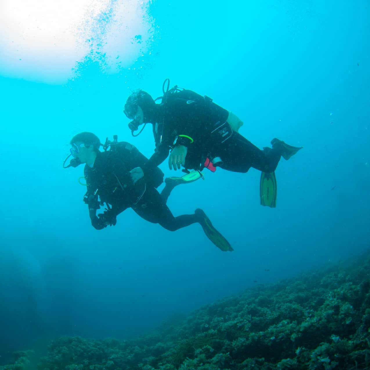 Battesimo subacqueo nel mare dell’Argentario | Freedome