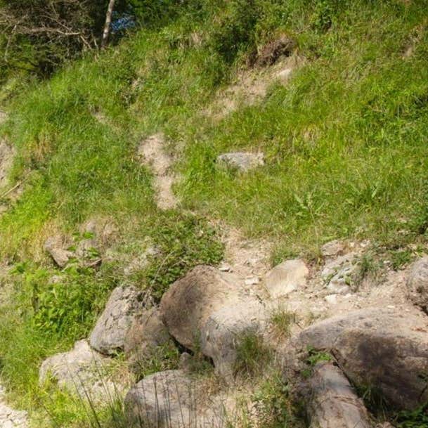 Tour in quad all’Orrido di Botri | Freedome