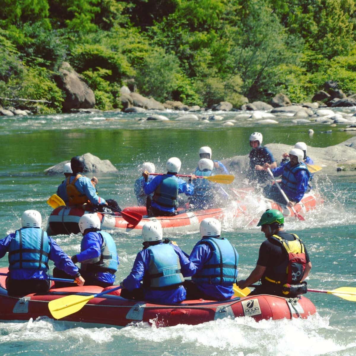 Soft Rafting on the Sesia river | Freedome