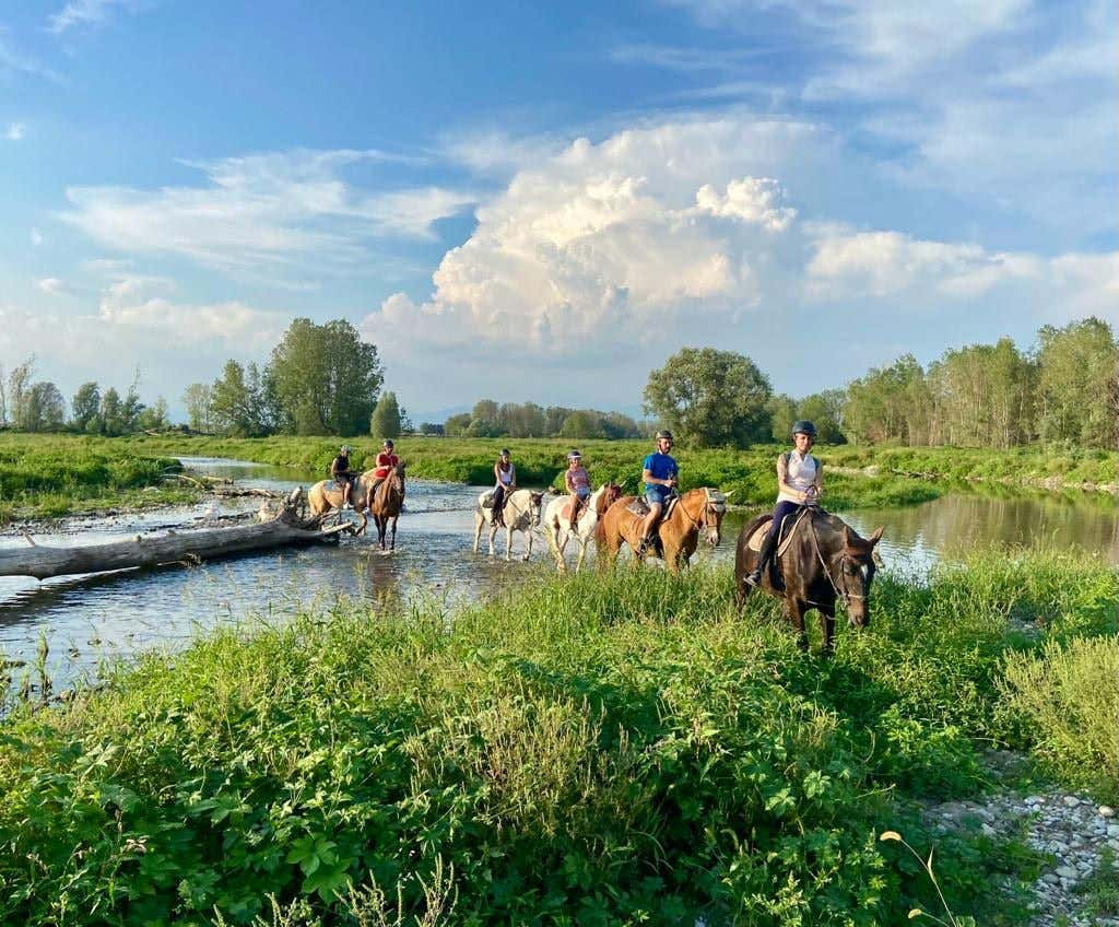 Passeggiata a cavallo di un’ora lungo il fiume Serio | Freedome