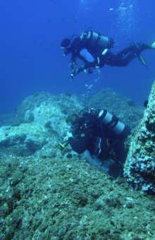 Immersioni subacquee: Le migliori esperienze in Italia | Freedome